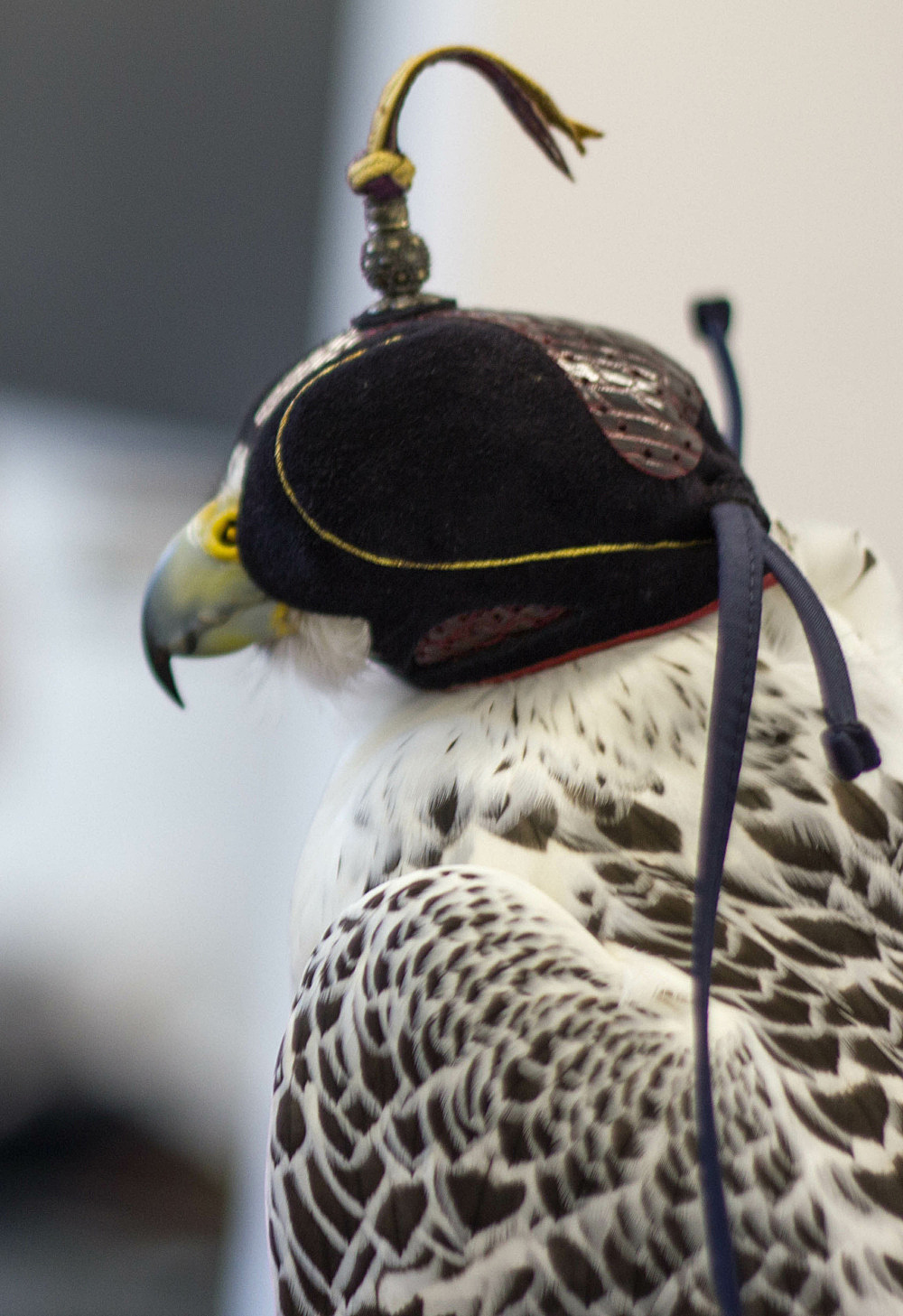 Anne Imhof Köln 2016 — Anne Imhof — Exhibitions — Galerie Buchholz