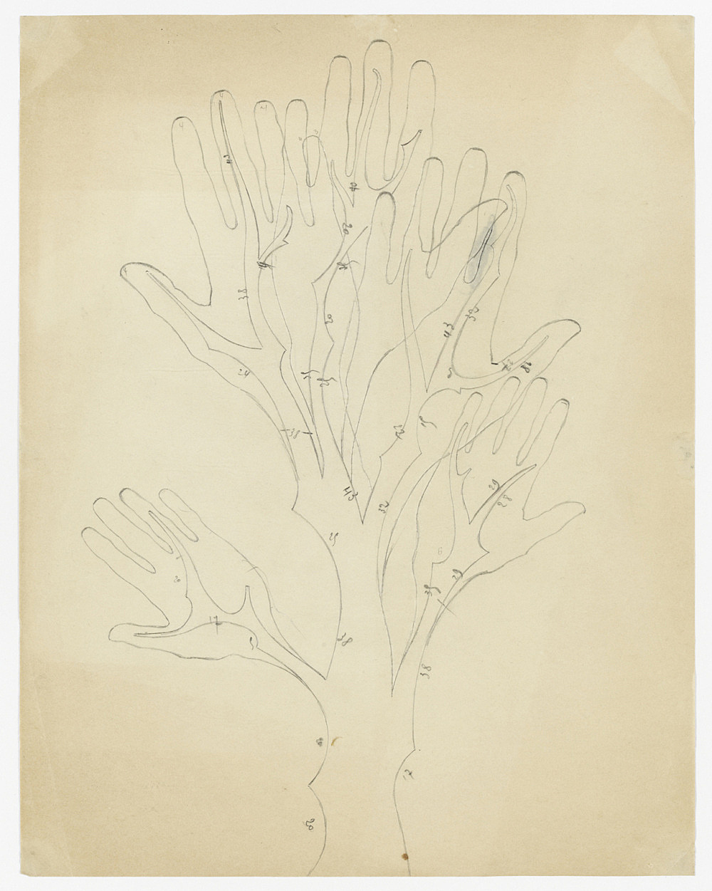 Drawings for Bookbindings compiled by Florian Pumhösl — Paul Bonet ...