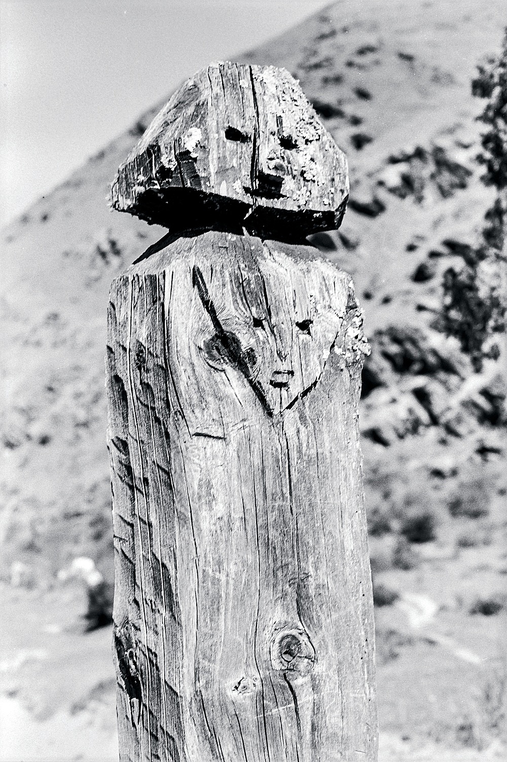 Singers of Ten Thousand Lines — Michael Oppitz — Exhibitions — Galerie ...
