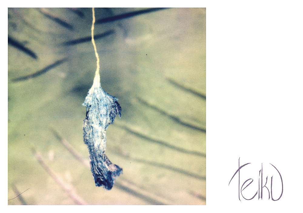 Teiku — Yair Oelbaum — Exhibitions — Galerie Buchholz